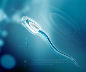 The IMSI Method - Fertility Solutions